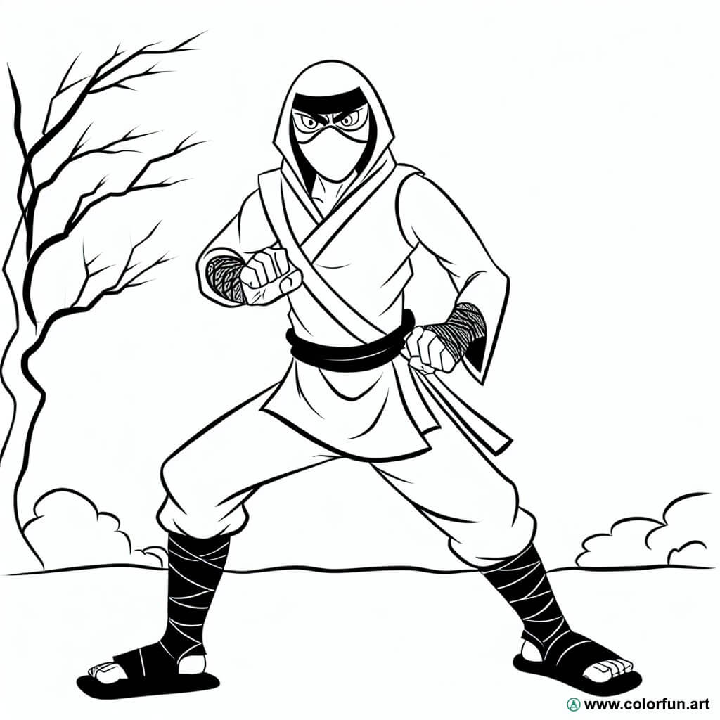 Planșă de colorat a ninja-ului războinic Descărcați sau tipăriți gratuit